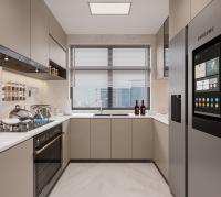 China Full Wall Custom Kitchen Furniture Lacquer Finished Plywood Kitchen Cabinet for sale