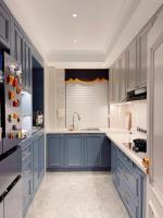 China Modern Design China Manufacture Wooden Modular UV Lacquer Kitchen Cabinet Door for sale