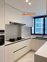 China Import Modern Cabinet With Island Designed For Small Kitchen Home for sale