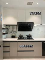 China Kitchen Cabinet Door Shutter Panels Widens Steel Indoor House Kitchen Cabinet for sale