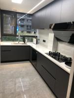 China Modular Cuisine Equipment Hutch Flat Pack Storage Home Kitchen Cabinets for sale