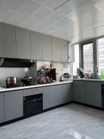 China Wholesale Custom Panel Lacquer High Gloss Pet Design Modern Kitchen Cabinet for sale
