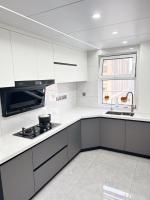 China Modular Kitchen Cabinet Design With Rta Lacquer Finish For Residence for sale