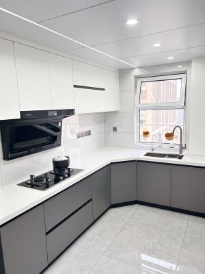 China Modular Kitchen Cabinet Design With Rta Lacquer Finish For Residence for sale