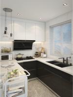 China Customized Matte Lacquer Finish Melamine Plywood Design Kitchen Cabinet for sale