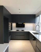 China Modern Kitchen Cabinet with Marble Countertop for Apartments for sale