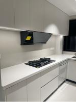 China Modern Kitchen Cabinet with Marble Countertop for Apartments for sale