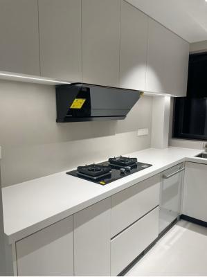 China Modern Kitchen Cabinet with Marble Countertop for Apartments for sale