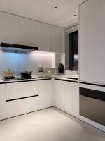 China Modern Kitchen Cabinet with Plywood Doors for Residences for sale