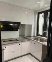 China Modern Kitchen Cabinet with Heat-Resistant Finish for Villas for sale