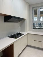 China Custom Shaker Style Particle Board Kitchen Cabinets in Vibrant Colors for sale
