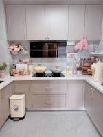 China China Factory Kitchen Cabinets with Quartz Granite Countertops for sale