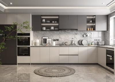China Modular Kitchen Cabinet with Drawer Basket for Residence Hotel for sale