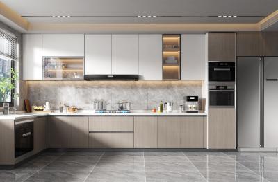 China Modern Small Kitchen Cabinet with Plywood Door for Apartments for sale