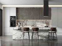 China Custom Modern Kitchen Cabinet Dark Matt Lacquer Finish for sale