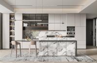 China Hotel Modern Kitchen Cabinet Featuring Durable Plywood Door Material For Villa for sale