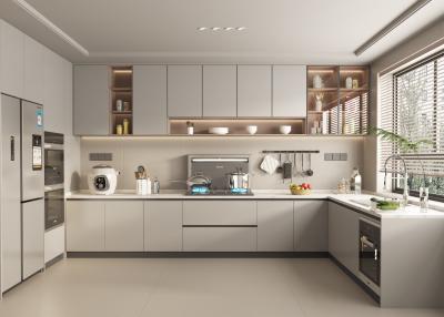 China Hotel Modern Shaker Kitchen Cabinets Customizable Plywood Systems Eco-Friendly for sale
