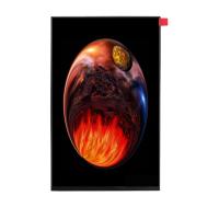 China 800x1280 Resolution TFT LCD Display 10.1 Inch IPS Free Viewing Direction for sale