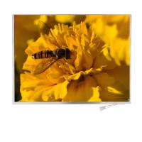 China 12.1 Inch 1280x800 TFT LCD Display LVDS Interface 16.7M Color LCD Module for sale