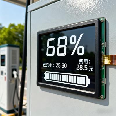 China Charging Station LCD Segment Display with 2.7V to 5.0V Voltage VA or STN LCD Type and Negative/Positive Display Mode for sale