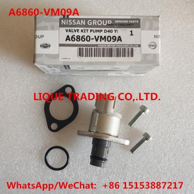 China Genuine overhaul kits A6860-VM09A ,  NISSAN A6860VM09A , include valve 294200-0360 for sale