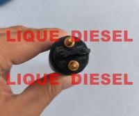 China BOSCH 0445124025 Common Rail Fuel Injector 0 445 124 025 837074860 FOR SISU ENGINE for sale