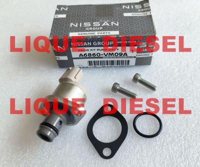 China Overhaul kits A6860-VM09A A6860VM09A A6860 VM09A include valve 294200-0360 for sale