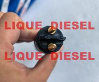 China BOSCH Common Rail Injector 0445120290 0 445 120 290 445120290 L4700-A-A38 CRIN-A38 for sale