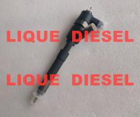 China BOSCH COMMON RAIL INJECTOR 0445110351 0 445 110 351 445110351 for sale