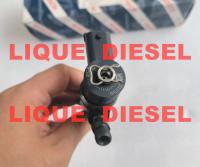 China BOSCH Fuel injector 0445110255 0445110256 33800-2A400 0 445 110 255 0 445 110 256 338002A400 for HYUNDAI & KIA for sale