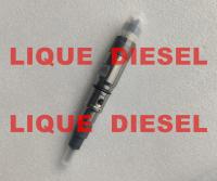 China BOSCH injector 0445120041 0 445 120 041 0445 120 041 65.10401-7002 65.10401-7002C 65.104017002C for DOOSAN for sale