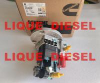 China Cummins fuel pump 3090942 3417674 3417674X P3417674 Genuine and New for sale