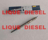 China BOSCH Glow plug 0250202136 3770100-E06 0 250 202 136 3770100E06 for Great Wall 2.8TC for sale