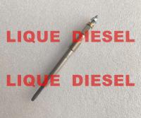 China BOSCH Glow plug 0250202136 3770100-E06 0 250 202 136 3770100E06 for Great Wall 2.8TC for sale