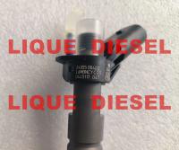 China BOSCH Common rail injector 0445117047 0445117048 0 445 117 047 0 445 117 048 0445117 047 0445117 048 for sale