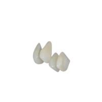 China Easy Clean OEM Composite Teeth Veneers Long-Lasting Color Stability for sale
