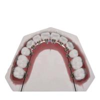 China Straight Wire Fixed Orthodontic Appliances For Teeth Straightening for sale