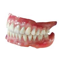 China Digital Design 3D Printed Flexible Acrylic Dentures OEM Dental Lab for sale