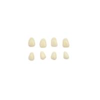 China Orthodontic FDA 3D Printed Removable Tooth Crown Polishing Porcelain Temporary Teeth for sale