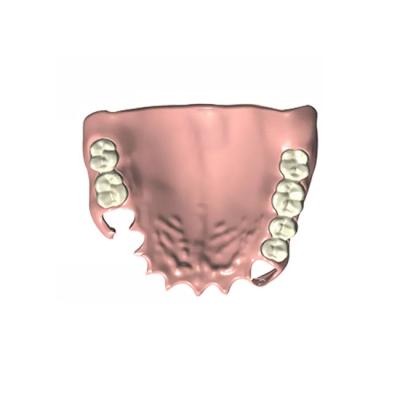 China High Chewing Efficiency Denture Dental Lab CAD / CAM Fixed Partial Denture for sale