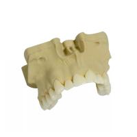 China Smooth Surface PFM Dental Crown High Strength Realistic Appearance for sale