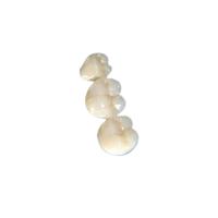 China Hard Texture Dental Crowns And Bridges Exercising Chewing Function Comfortable for sale