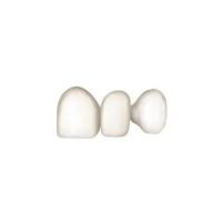 China Exercising Chewing Function Dental Crown Bridge Pure Titanium Oral Hygiene for sale