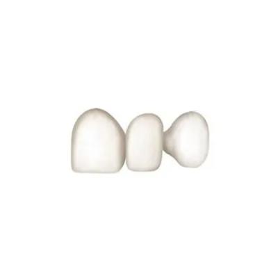 China Exercising Chewing Function Dental Crown Bridge Pure Titanium Oral Hygiene for sale