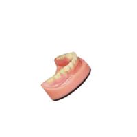 China Denture Dental lab PFM Dental Bridge 3D Digital Intraoral Scanning Imaging System for sale
