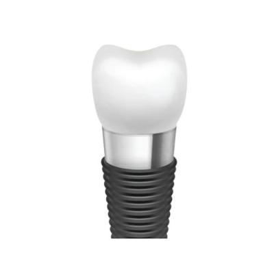 China Superior Durability And Functionality Of Dental Implant Bars for sale