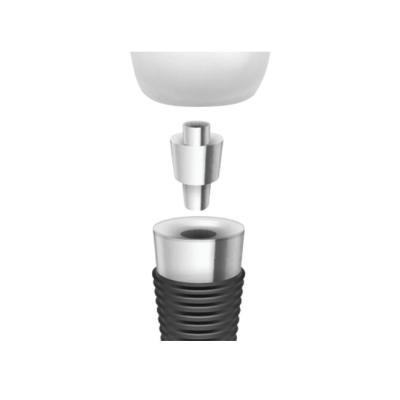 China Versatility Of Dental Implant Bars For Full-Arch Restorations for sale