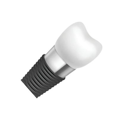 China Dental Implant Bars A Cutting-Edge Solution For Edentulous Patients for sale