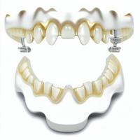 China High Quality 0.018/0.022 Self Ligating Fixed Orthodontic Appliances With Individual Package For Dental Professionals for sale