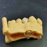 China digital design + model printing +zirconia crown for sale